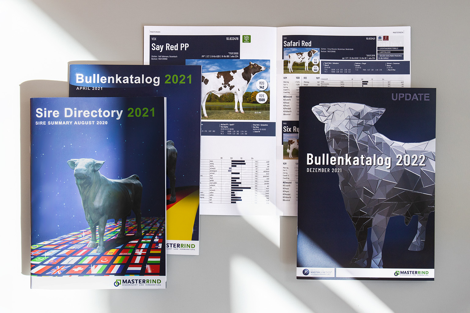 MASTERRIND – readymade Werbeagentur in Verden